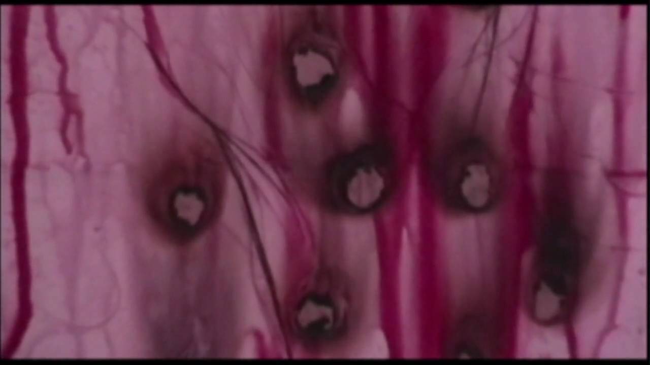 Exit short film part two - YouTube