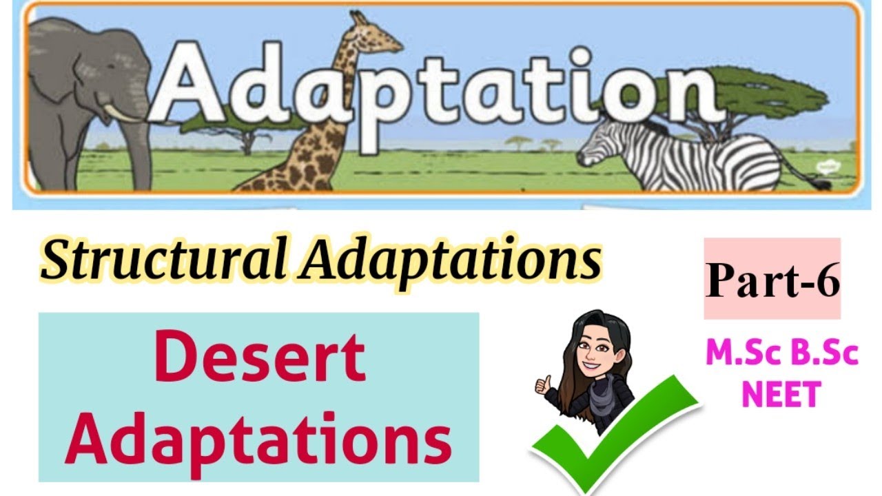 Structural adaptations-Desert adaptations- Types of Adaptations |part-6 ...