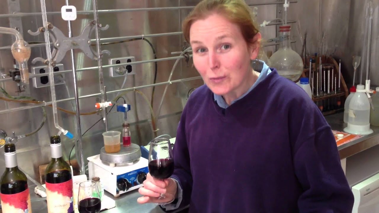 2014 Jen Pfeiffer Rebel Tempranillo and Rebel Shiraz Tasting Notes ...
