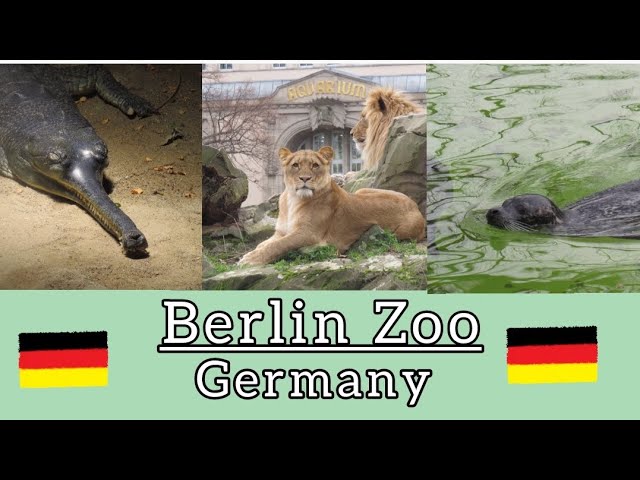Zoo Berlin Germany