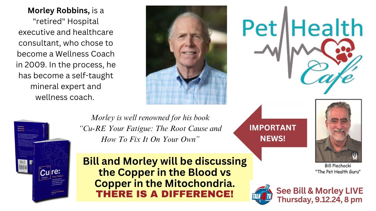 Morley Robbins is back with new info for you. - YouTube