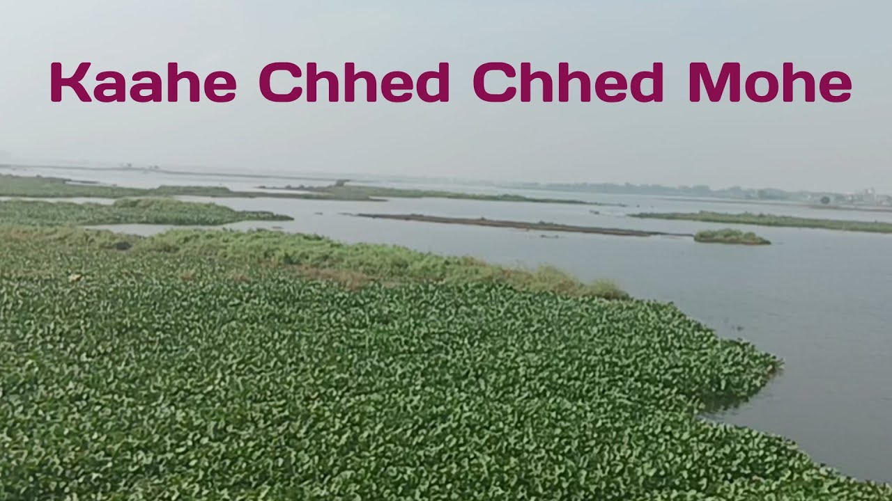 Kaahe Chhed Chhed Mohe||Kavita Krishnamurthy||Devdas||Cover-Maamson ...