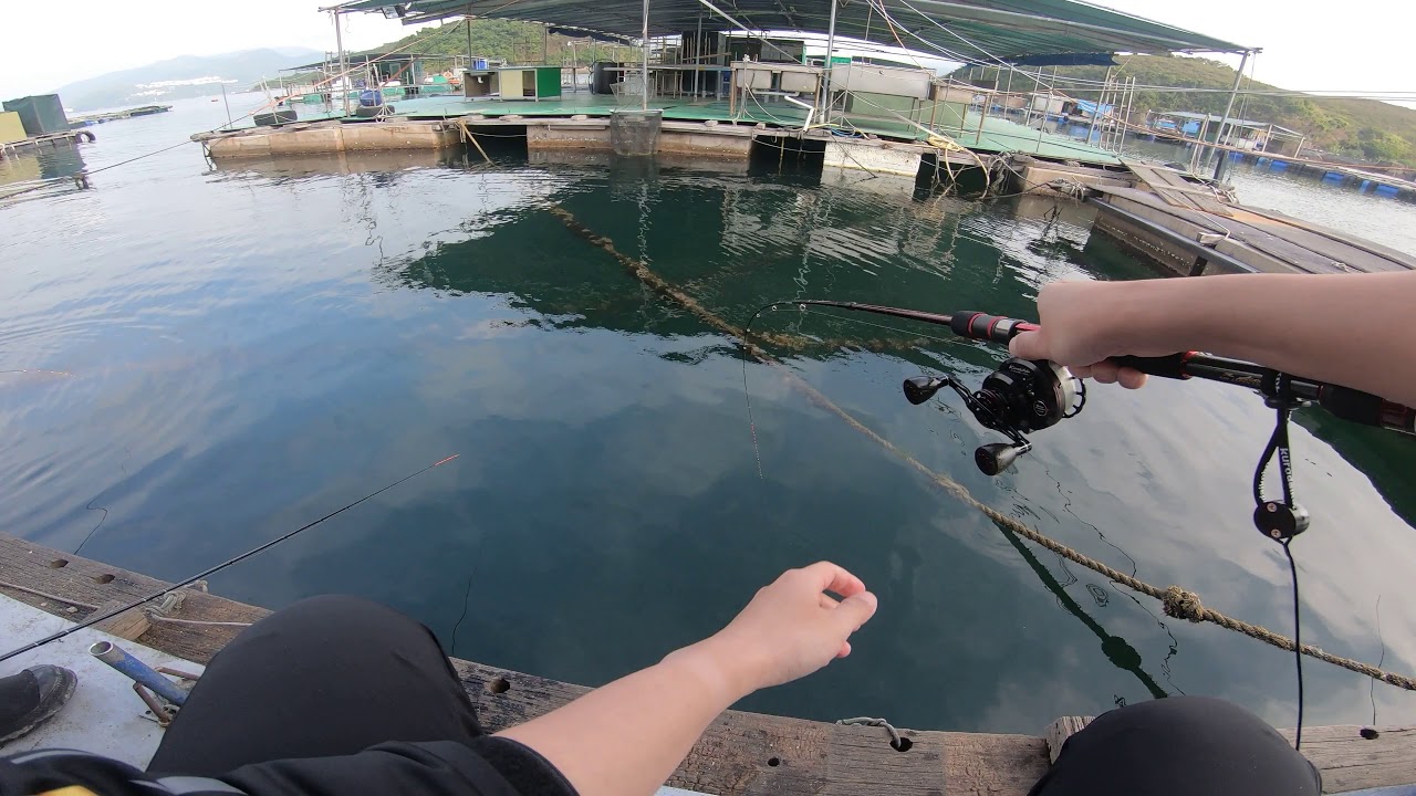 IKADA FISHING 石䂜 - YouTube