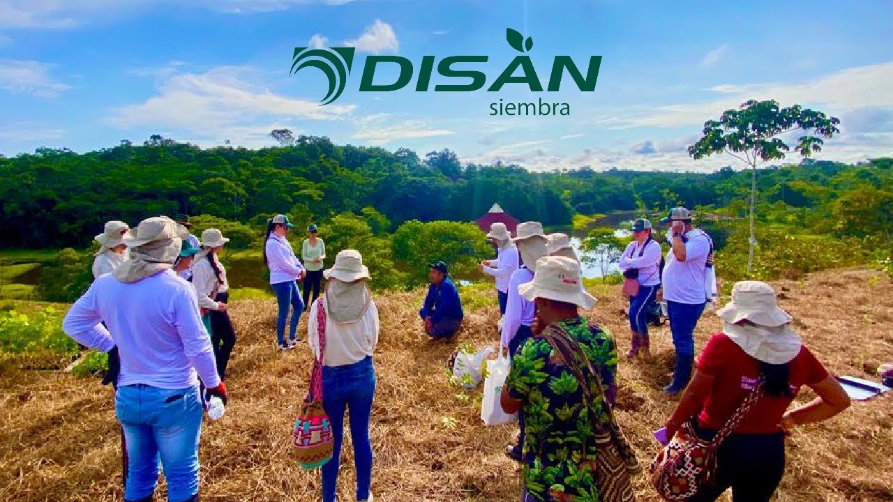 DISAN Siembra | Restauración de Vida - YouTube