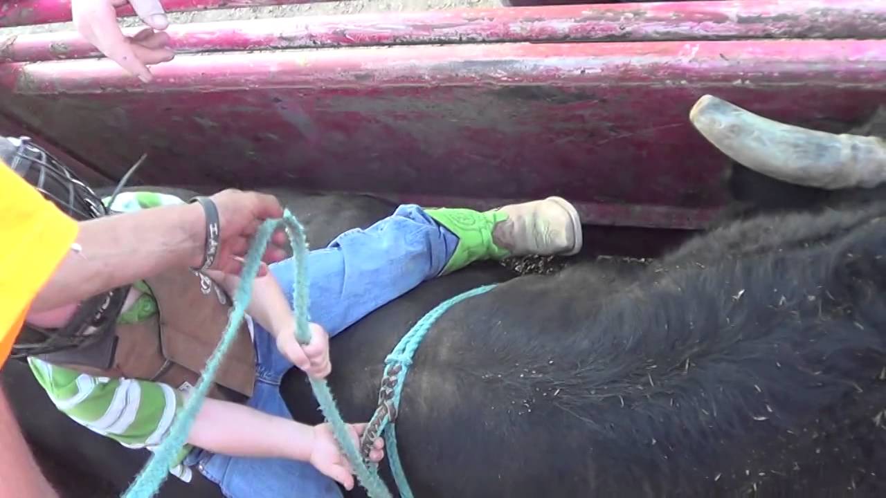Bull Riding - Kids Edition - YouTube