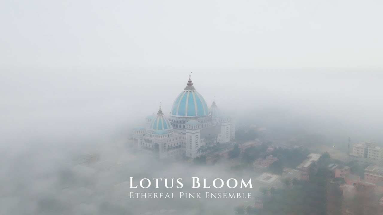 Lotus Bloom - Ethereal Pink Ensemble - YouTube