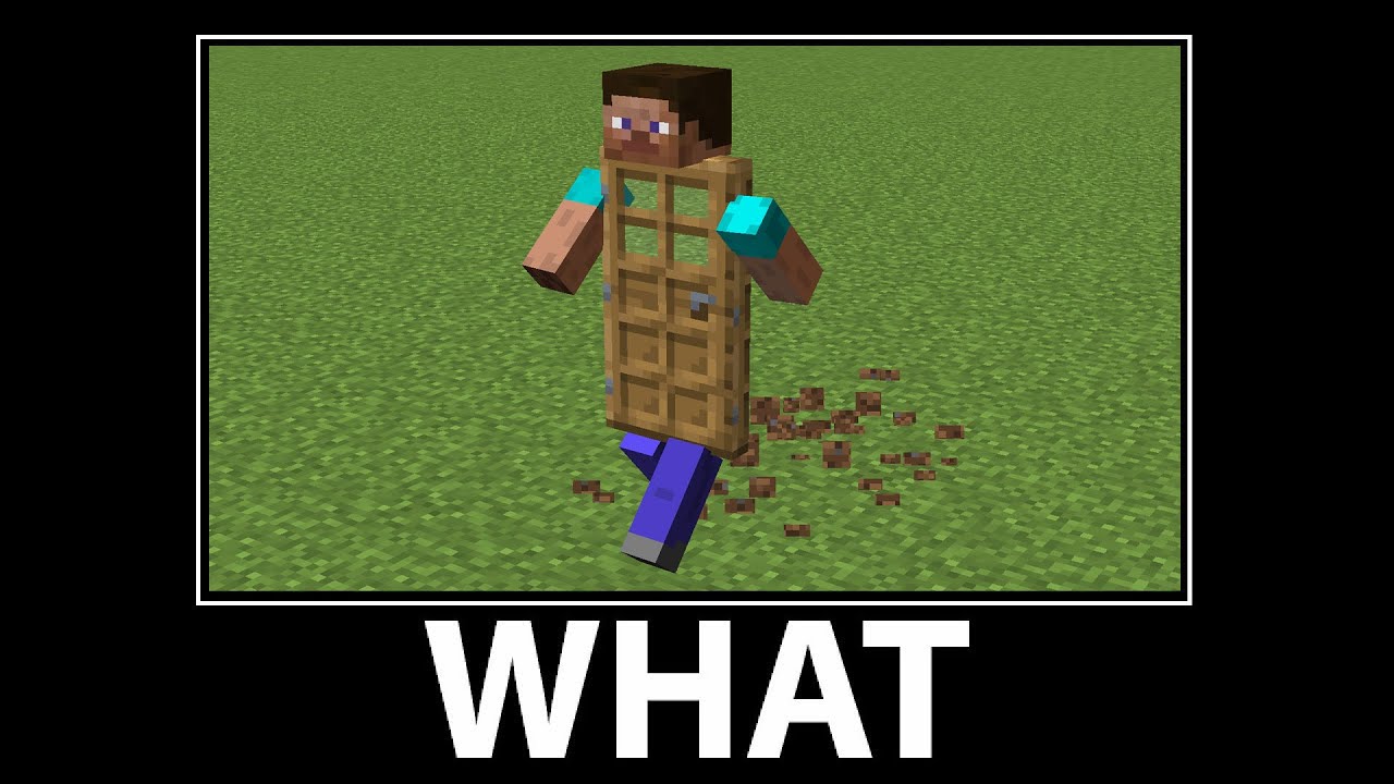 WAIT WHAT - Minecraft memes #5 - YouTube