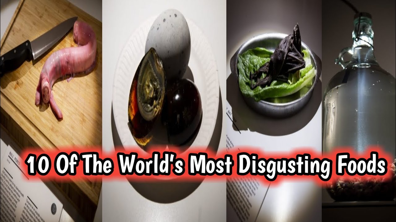 The 10 Worst Foods In The World YouTube the-10-worst-foods-in-the-world-youtube