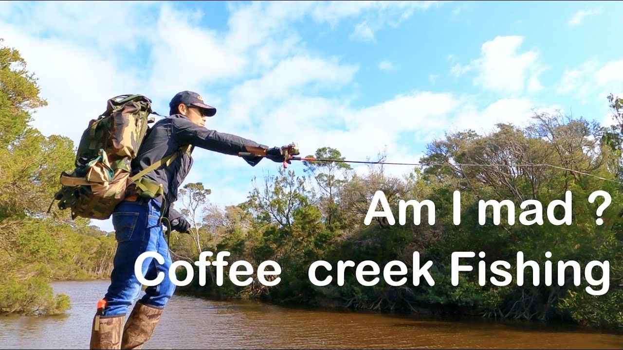 Lure Fishing in Coffee colour creek | Melbourne Fishing - YouTube