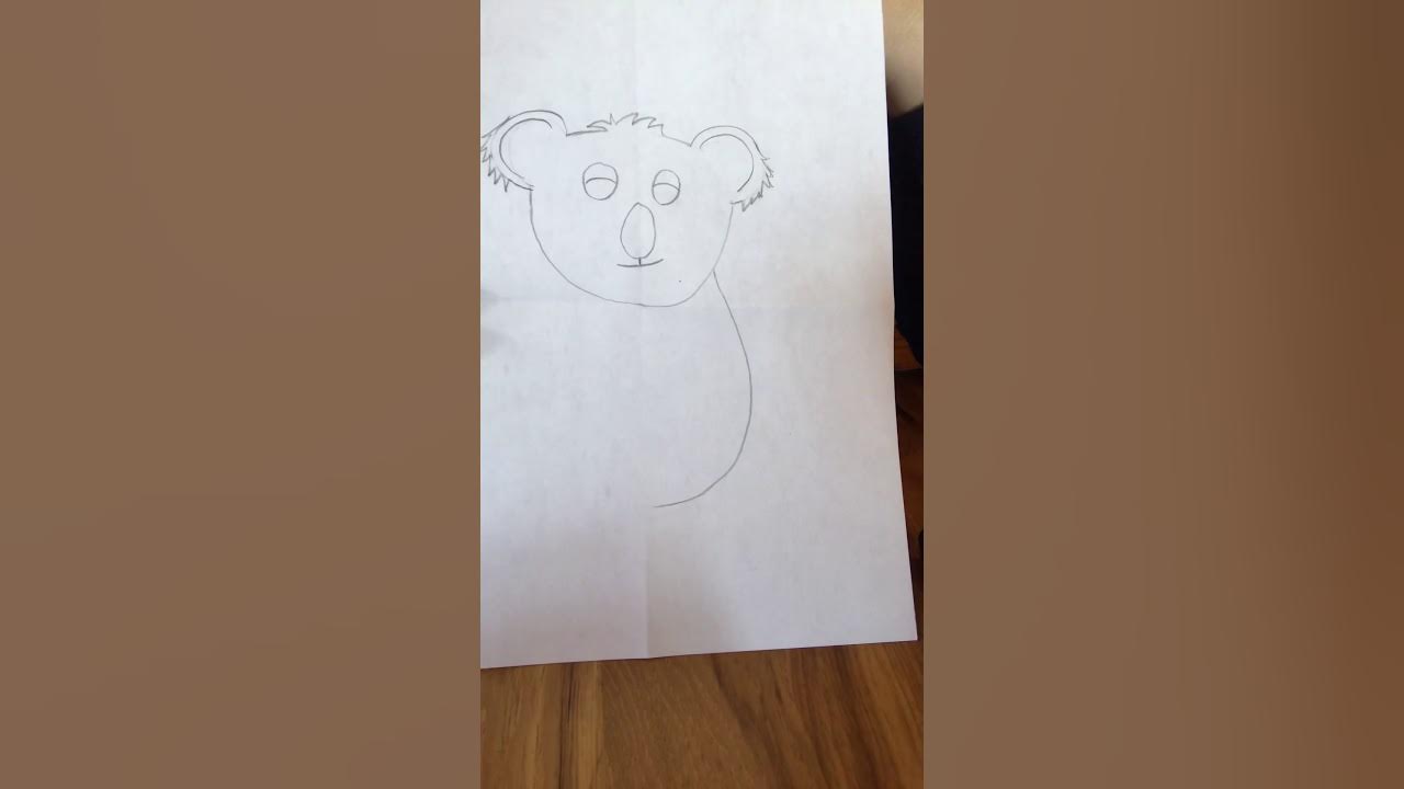 Koala directed drawing - YouTube