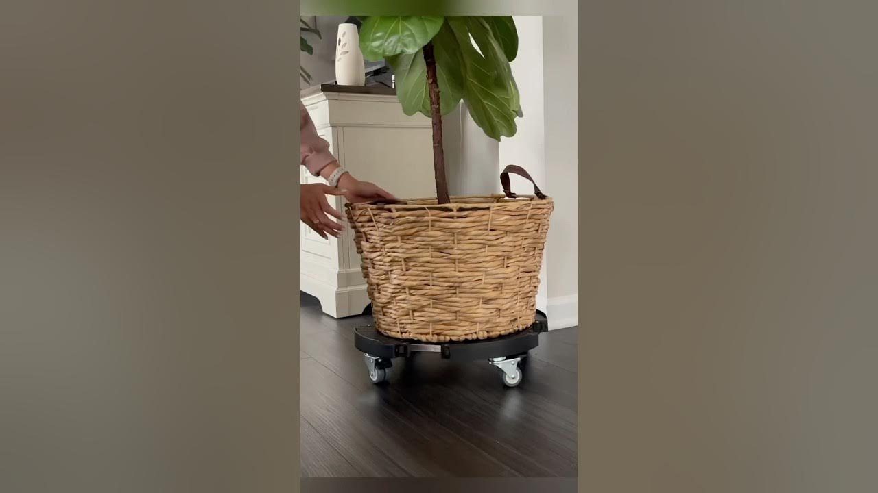 Strong, adjustable, and smooth-rolling—this heavy-duty plant caddy ...