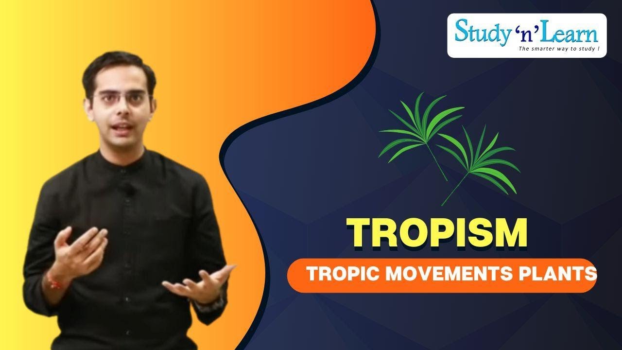 Tropism | Tropic Movements of Plants | Biology | Control and ...