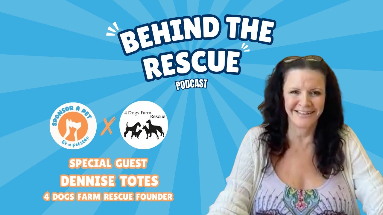 Behind The Rescue | Looking Forward: Future Goals and Vision with 4 ...