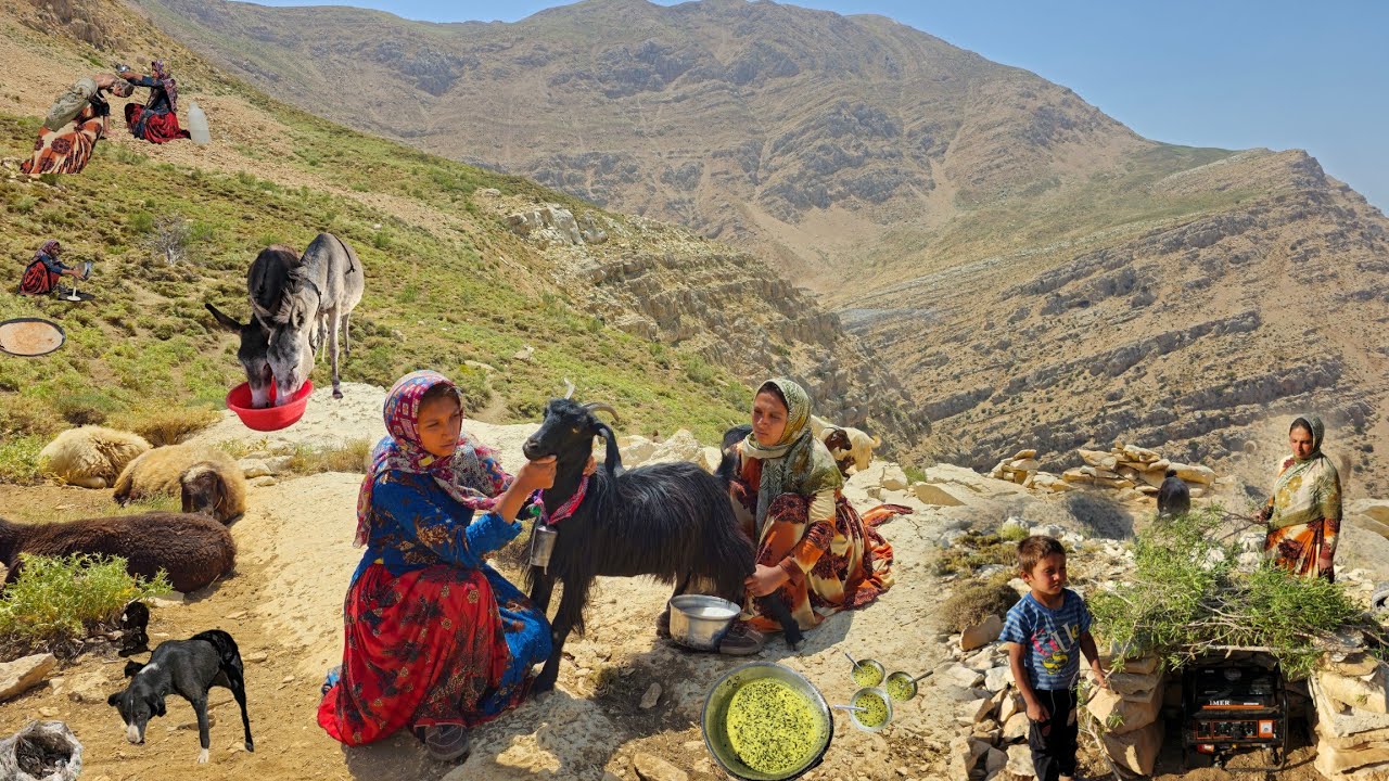Nomadic Life: Nomadic Cooking & Baking 🍞 | Nomadic Bath in Nature 🚿 ...