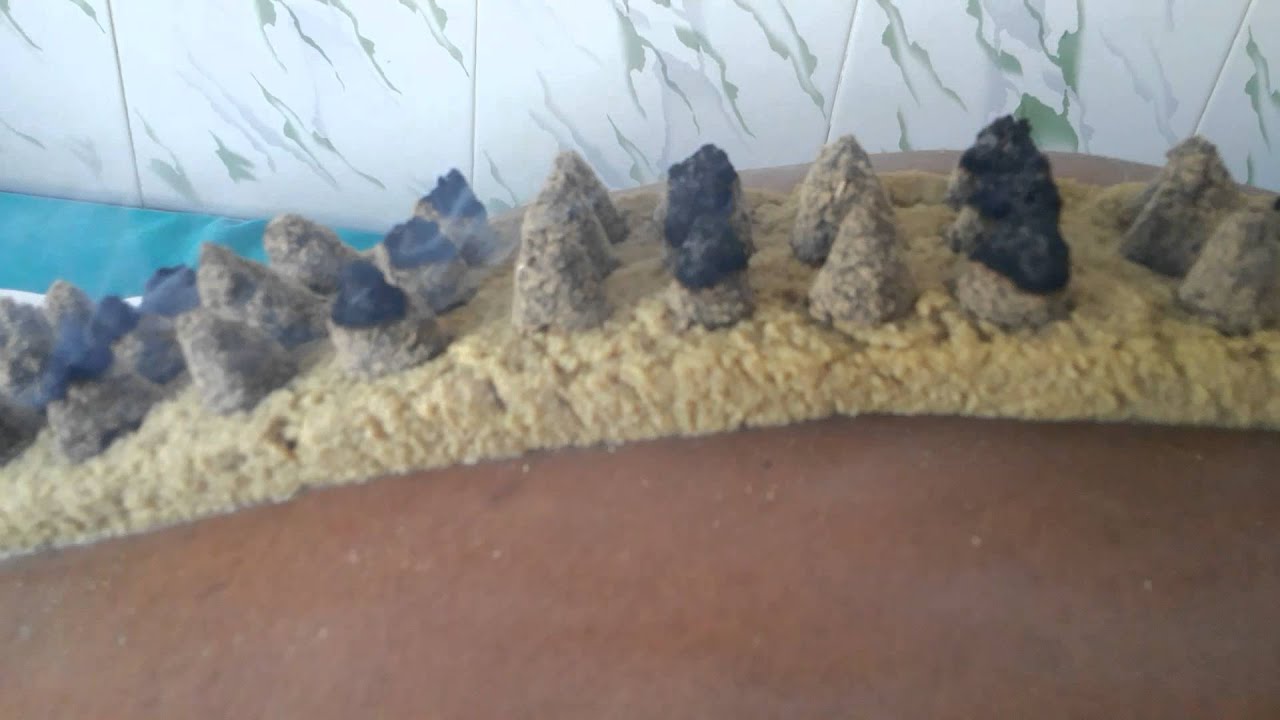 Dragon Moxibustion -Traditional Chinese treatment- TCM - by Dr Pradeep ...