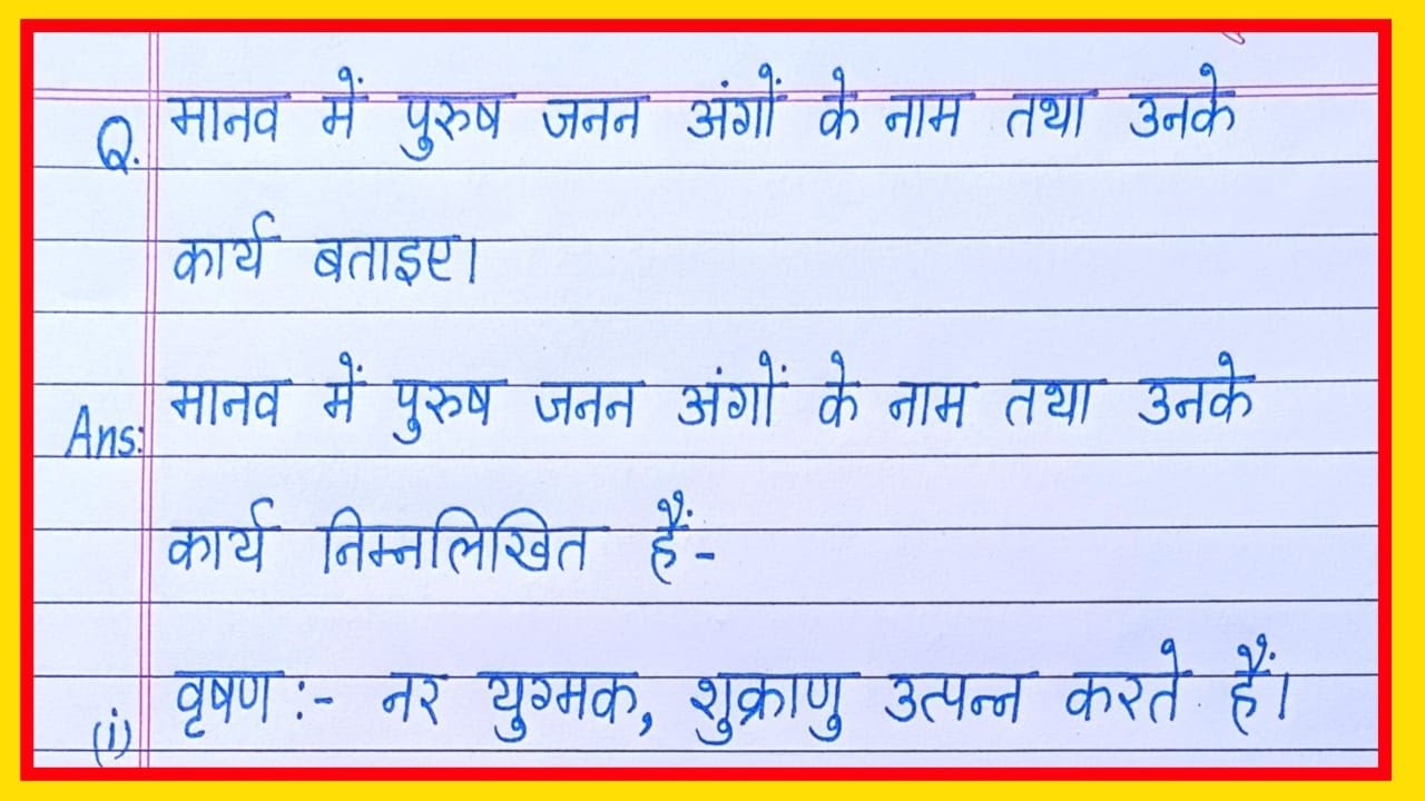 मानव में पुरुष जनन अंगों के नाम तथा उनके कार्य बताइए/manav mein purush ...