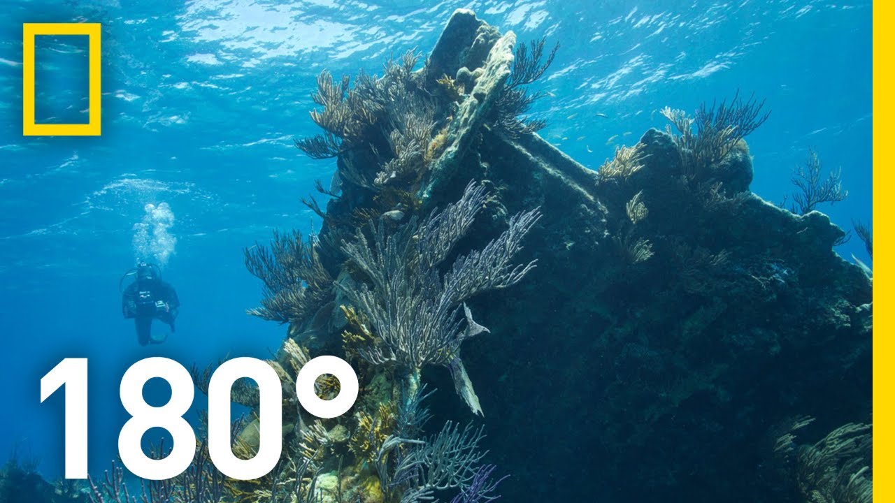 Underwater on Bermuda’s Montana Shipwreck – 180 | National Geographic ...