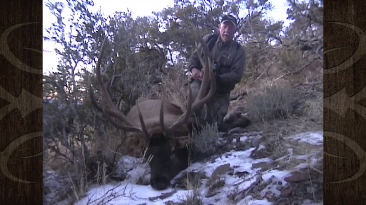 386" Nevada Rifle Elk Hunt - Bob Miller - MossBack & Western Wildlife ...