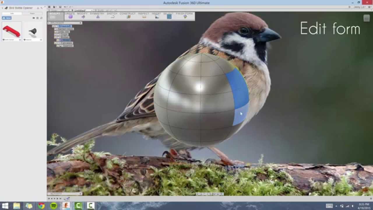 Fusion 360 Bird Bottle Opener - YouTube