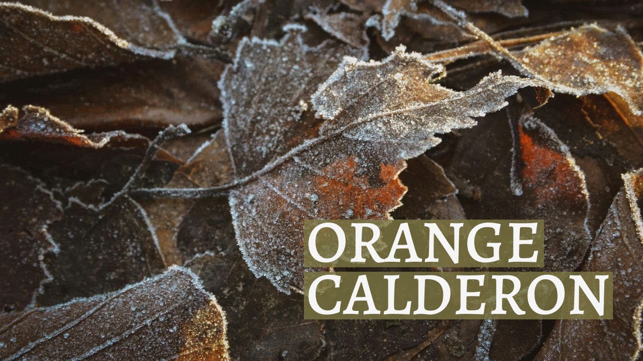 Orange Calderon - YouTube