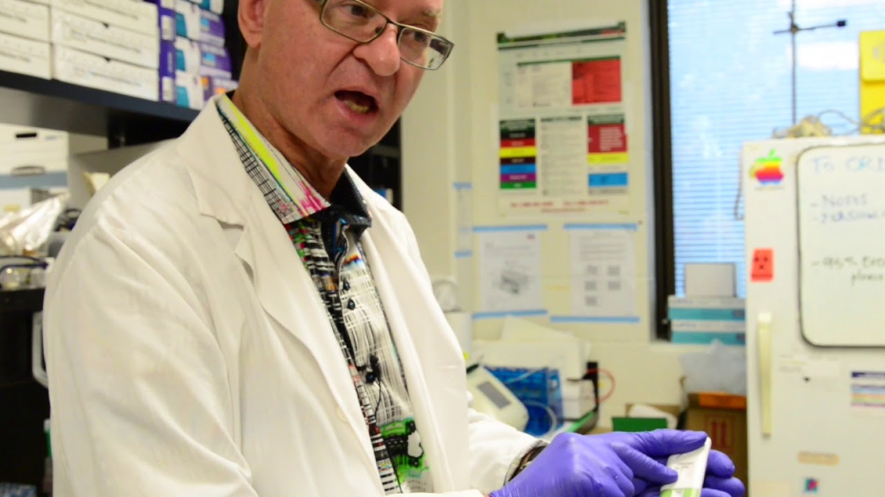 Western researchers develop rapid test for E coli - YouTube