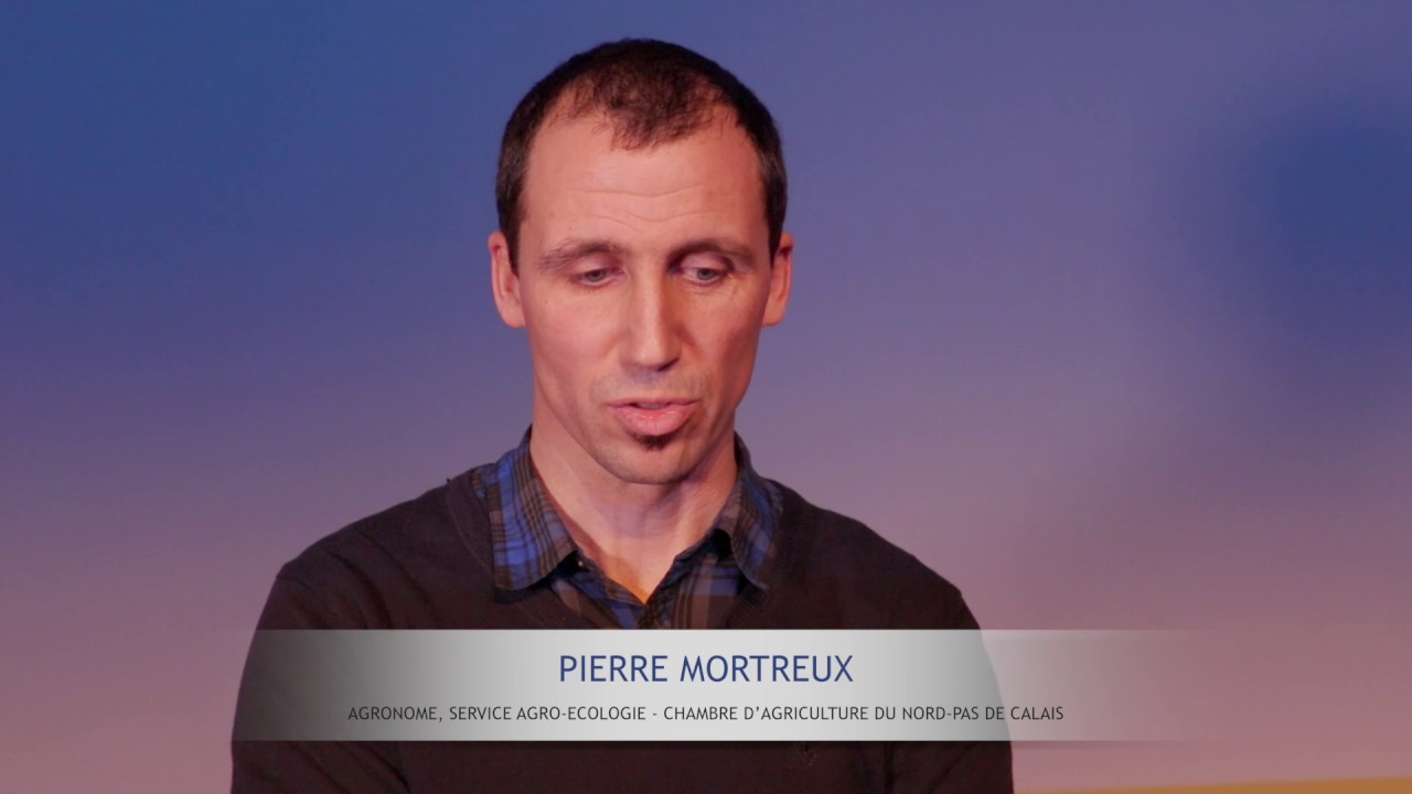 Interview - Pierre Mortreux - YouTube