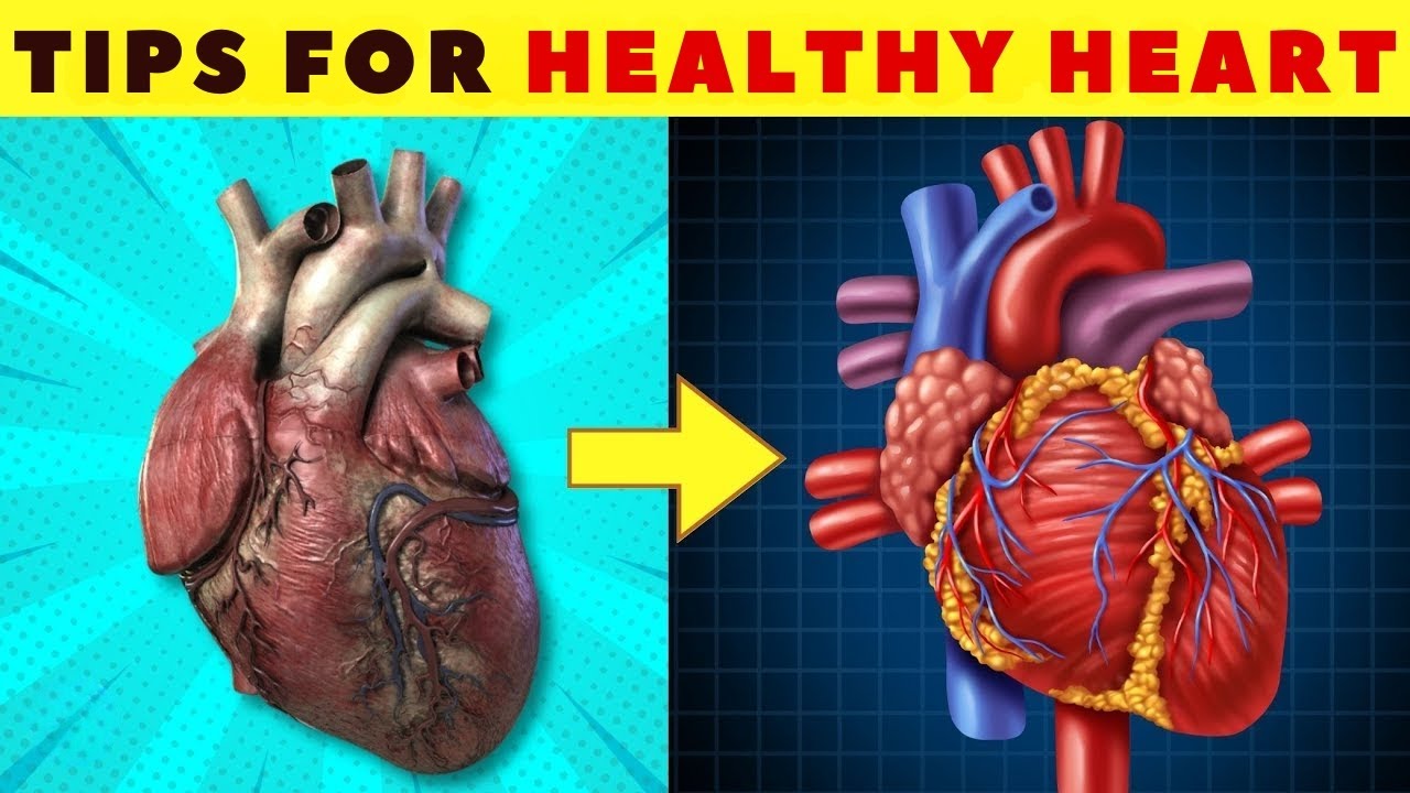 7 SIMPLE AND EASY Tips For A HEALTHY HEART - YouTube