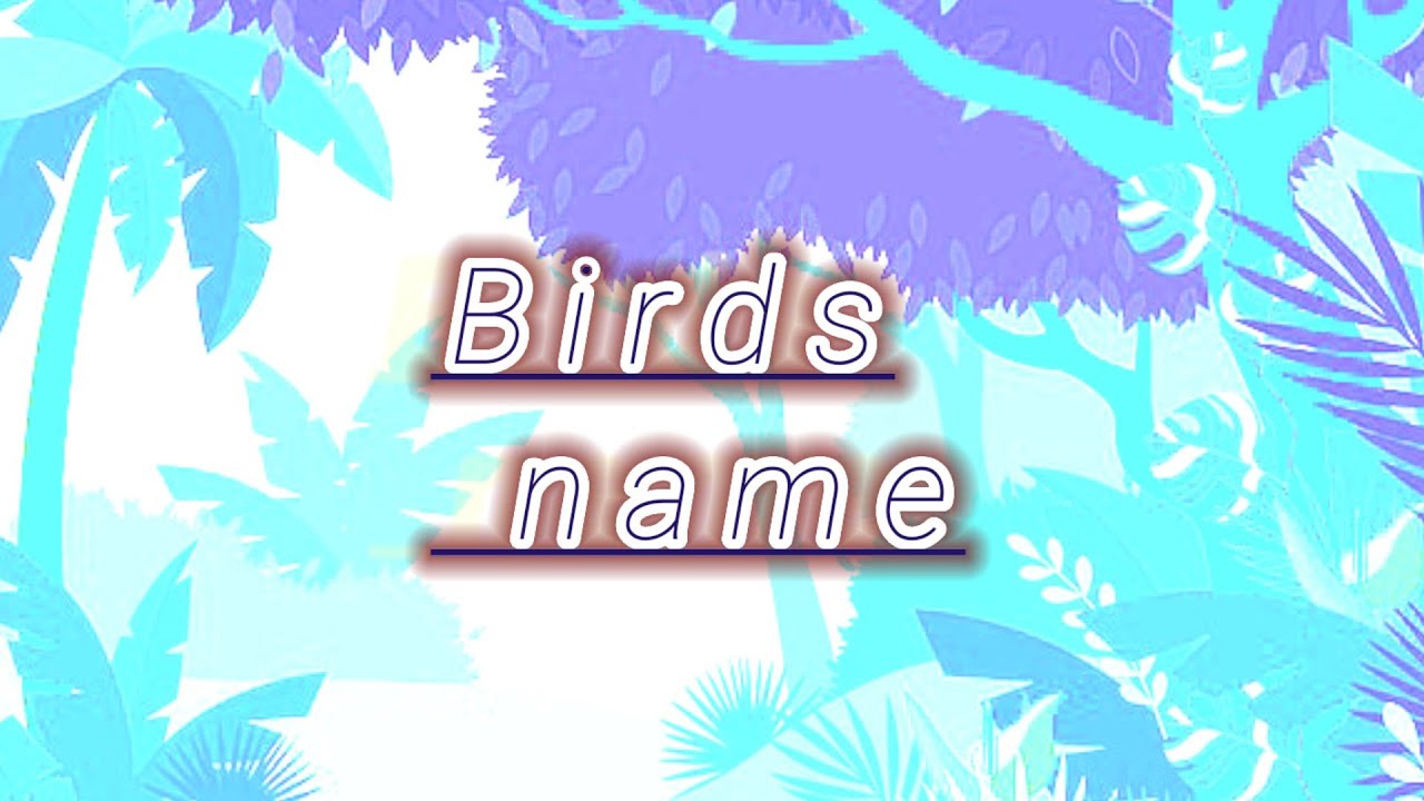Birds rhymes/ Birds rhymes for kids /40 birds names/ Birds poem/ tailor ...
