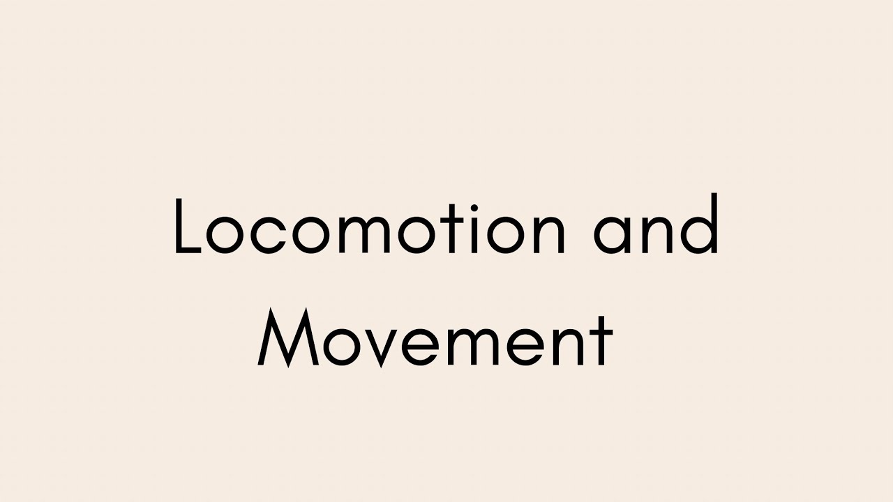 Locomotion and Movement | Class 11 Biology | Types of Movement | Muscle ...