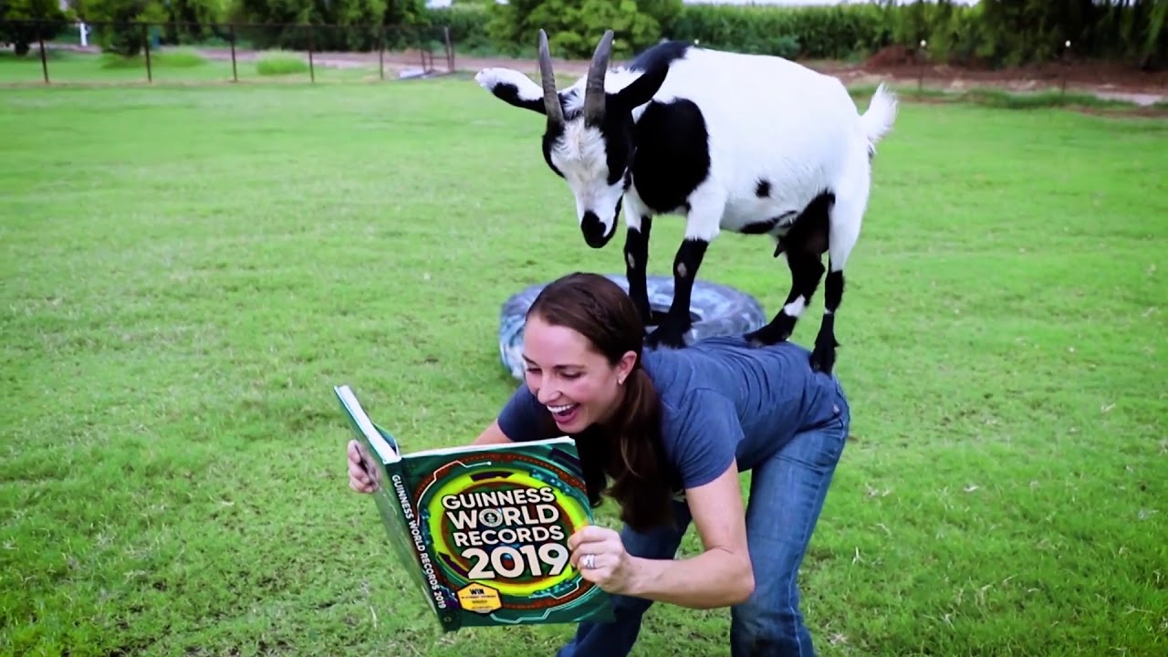 Record Guinness World 2019, la cabra ninja - YouTube