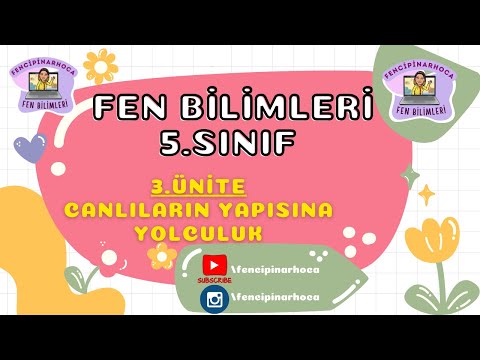 5.SINIF FEN BİLİMLERİ 3. ÜNİTE CANLILARIN YAPISINA YOLCULUK (2025) (YENİ MÜFREDAT)
