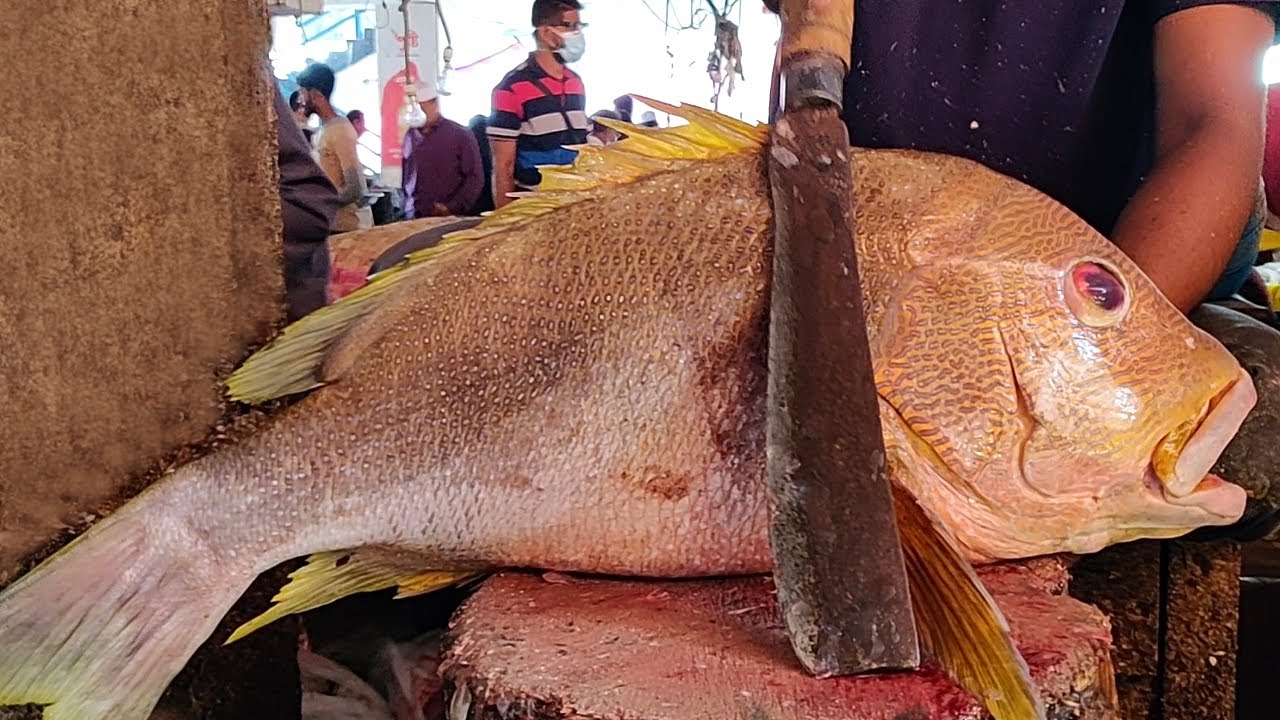 Amazing Man Cutting Giant Speckled Snapper Fish In Fish Market | Fish ...