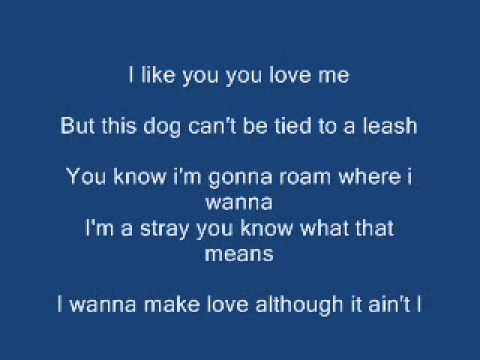 girl im tryin lyrics by j-brazil  (official music)