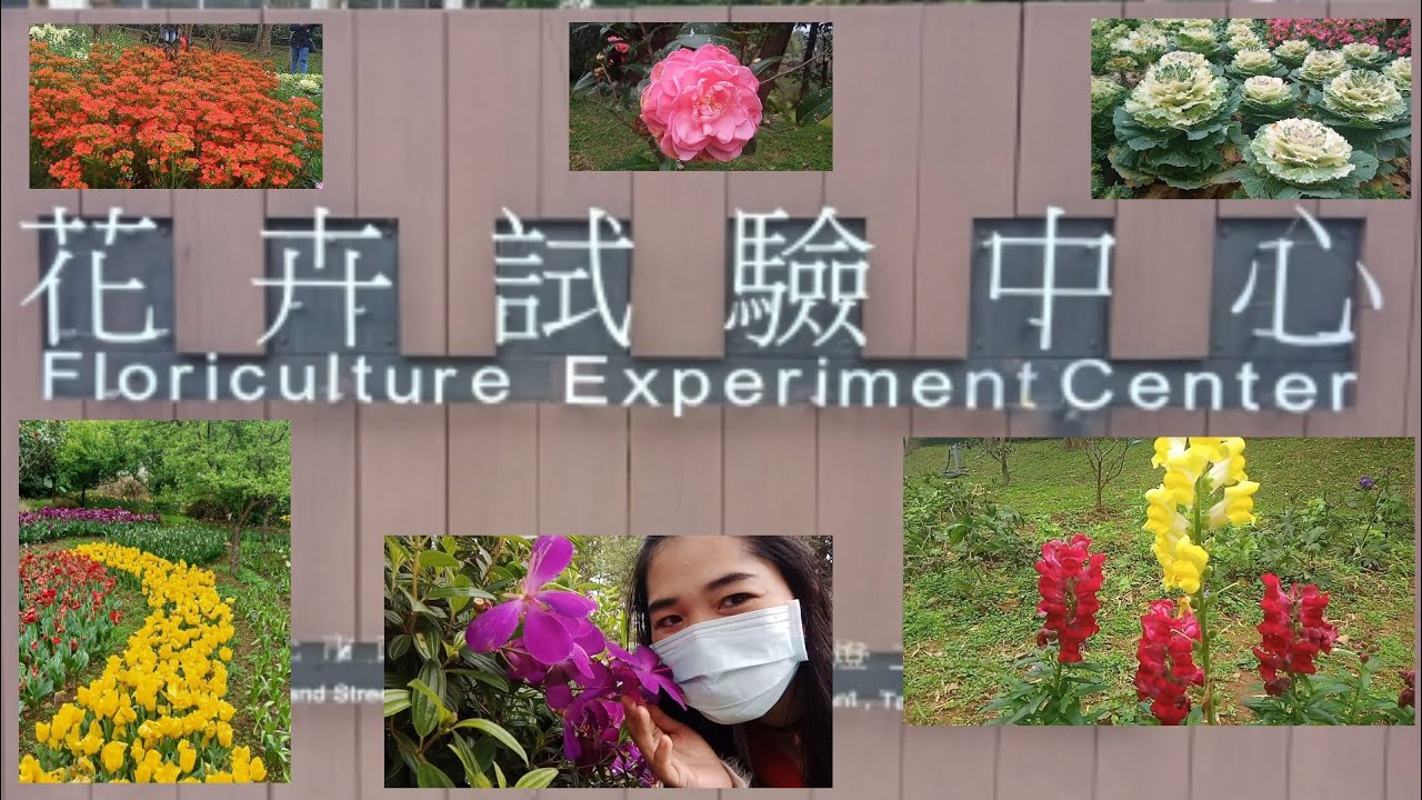 Floriculture Experiment Center , Taipie Taiwan//Momshie Wendie - YouTube
