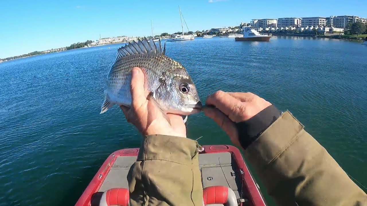 Fishing In The LOCK DOWN (The ONE Sydney Doesn't know It Has) - YouTube