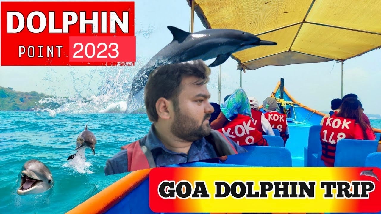 Dolphin Point Goa | Dolphins Trip in Goa near Calangute | 300/- Rs ...