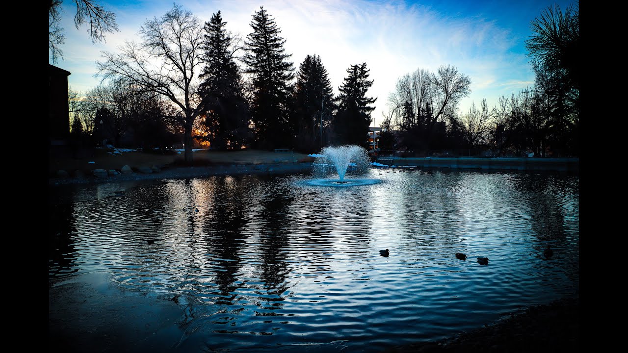 February Photo Dump Highlights - YouTube