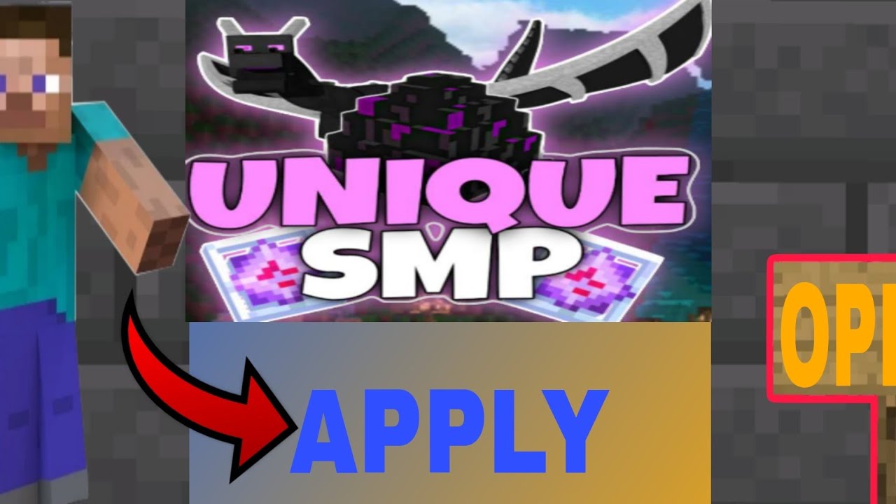 THIS VIDEO IS A APPLICATION FOR UNIQUE SMP | MINECRAFT| - YouTube