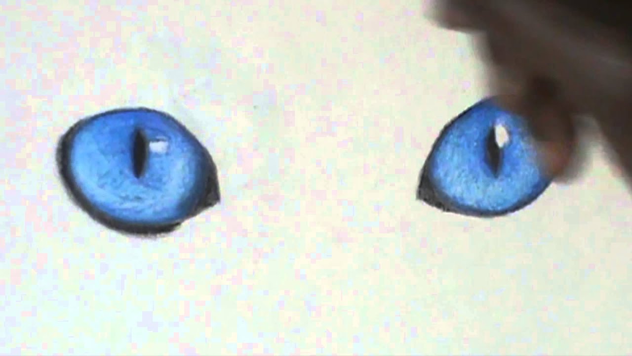 Drawing Realistic Blue Cat Eyes - YouTube