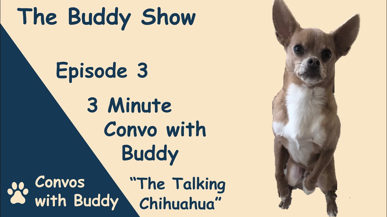The Buddy Show - Episode 3 - Our 3 minute convo - YouTube