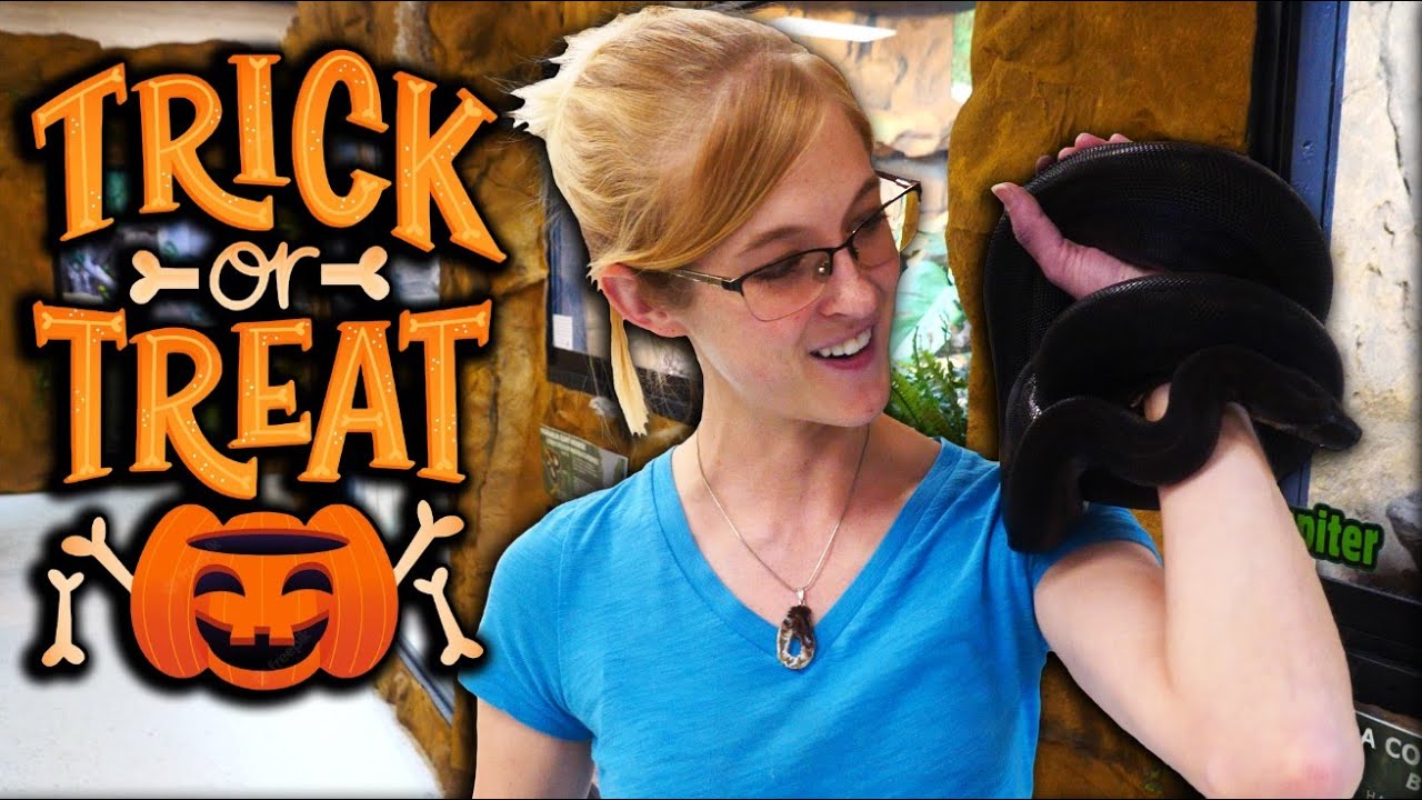 Trick-or-Treating at Snake Discovery this Saturday! - YouTube