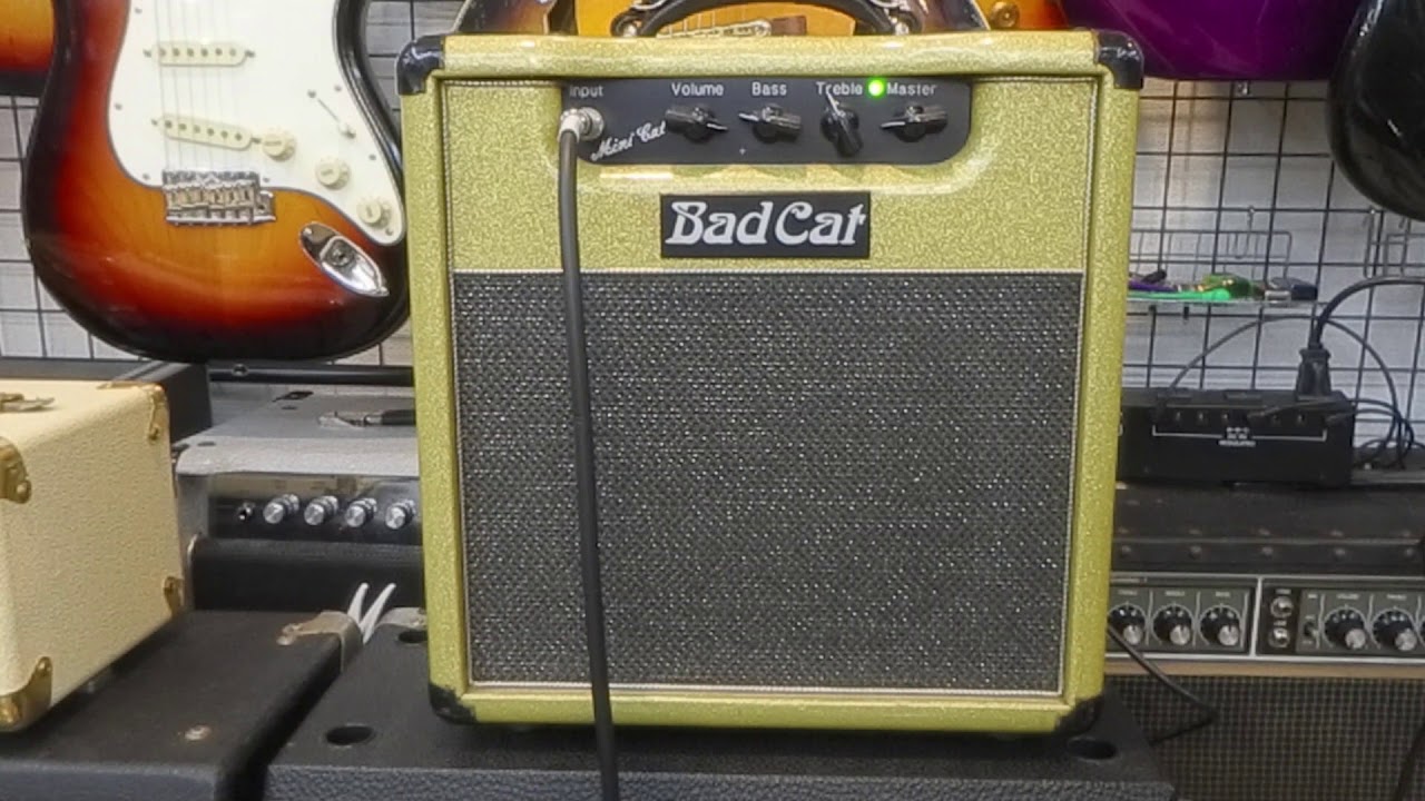 Bad Cat Mini Cat - YouTube