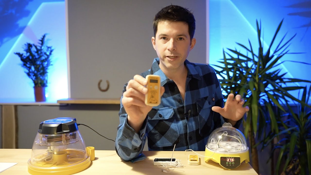 How to Check and Set the incubator Temperature the right way - Egg ...
