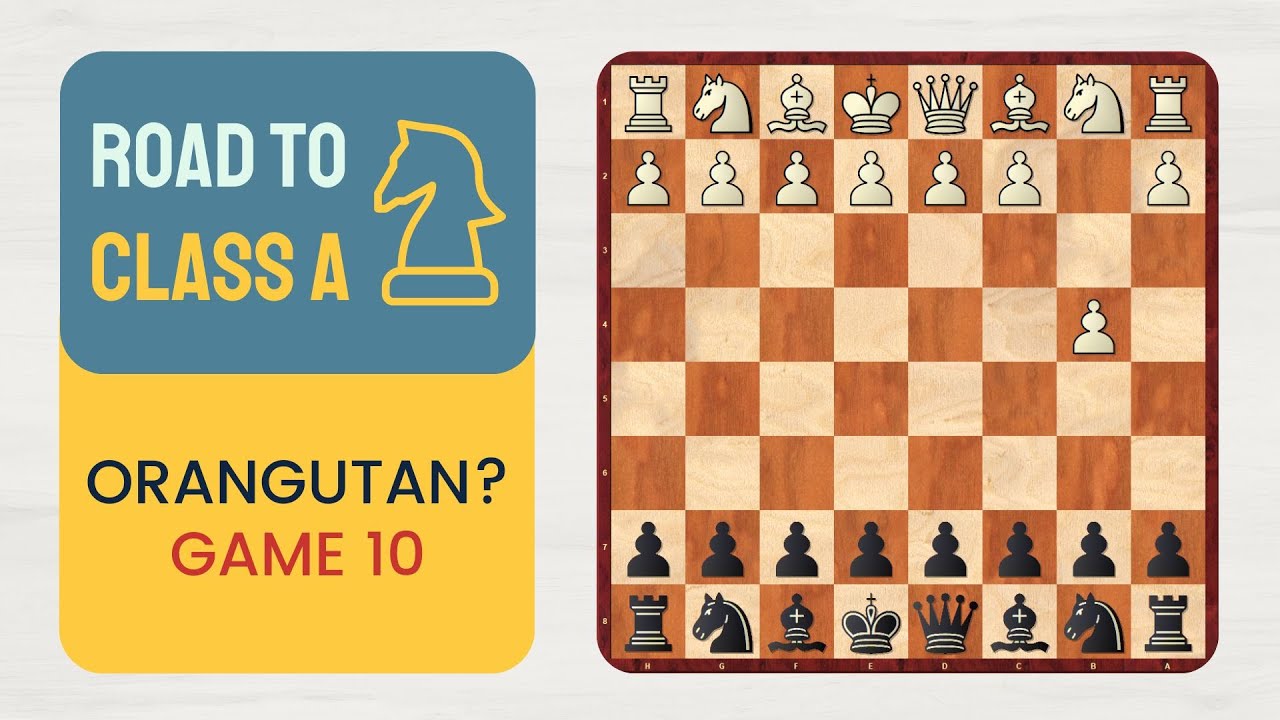 Unraveling the Mysterious Polish Opening in Chess - YouTube