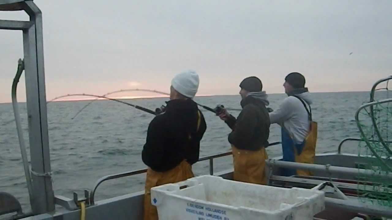 fishing is madness , bass fishing portland bill - YouTube