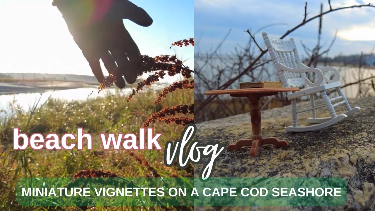 A quiet day on the seashore | cape cod post card vlog | an artists life ...
