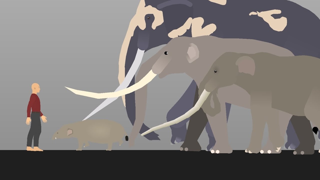 prehistoric elephants | size comparison - YouTube