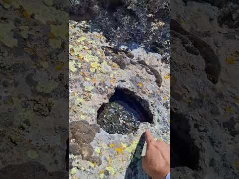 Define işaretleri......