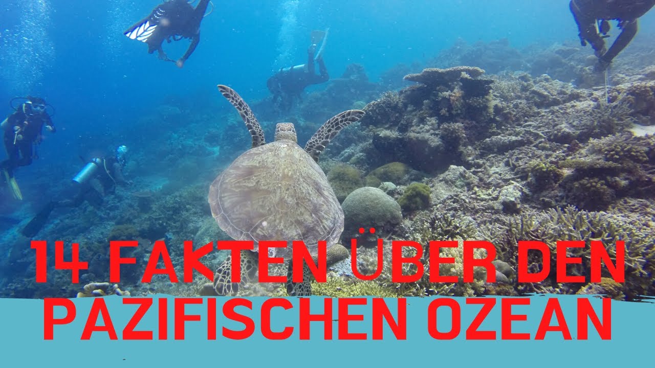 14 interessante geographische Fakten über den Pazifischen Ozean ...