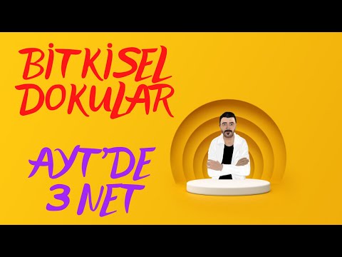 Bitkisel Dokular (İletim Doku) - (Konu Anlatımı)